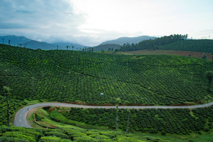 Holiday in style, go caravaning in Kerala | Times of India Travel