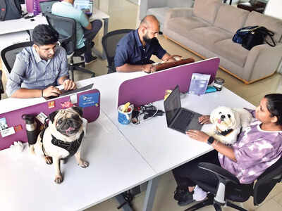 As WFH ends, are Indian corporates ready for pet-friendly workplaces ...