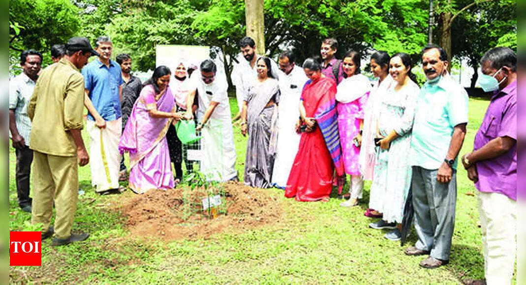 Kochi: Mini forest to come up at Subhash Park in Kochi | Kochi News ...