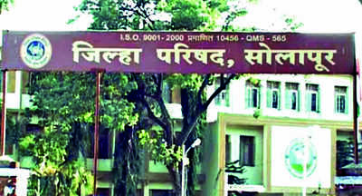 Solapur Zp Sets The Bar High For Rts Act Execution | Kolhapur News ...