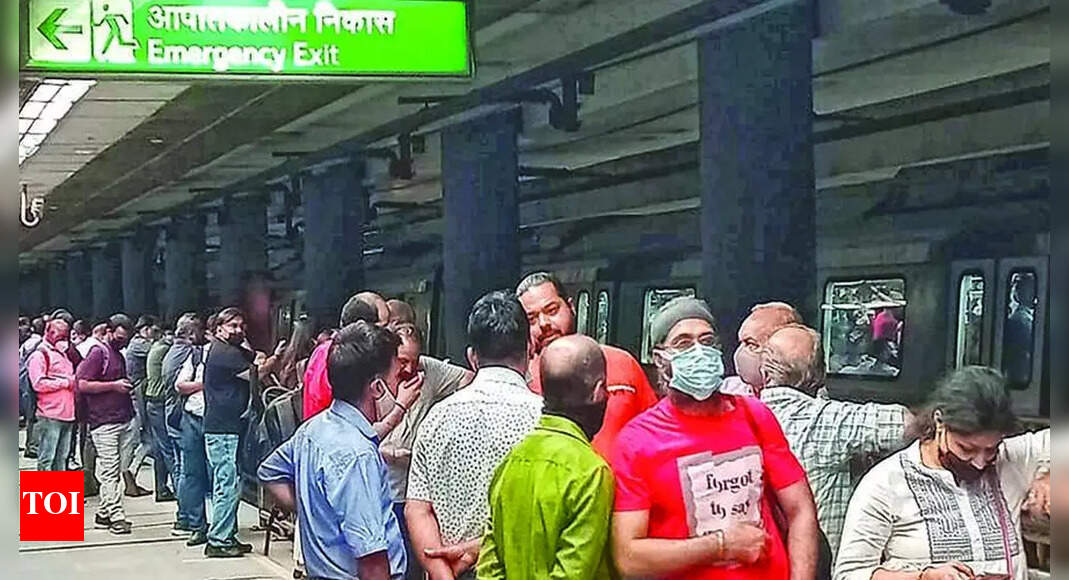 Delhi Metro News: Bird-hit brings Blue Line to halt in evening rush ...