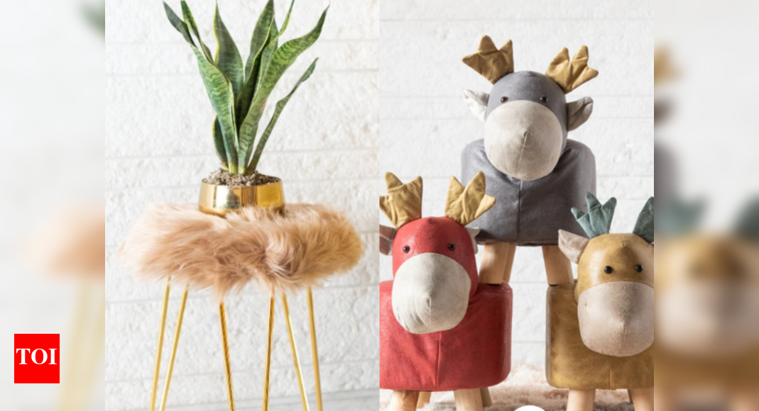 What was it about 'The June Shop' that got people hooked to this quirky ...