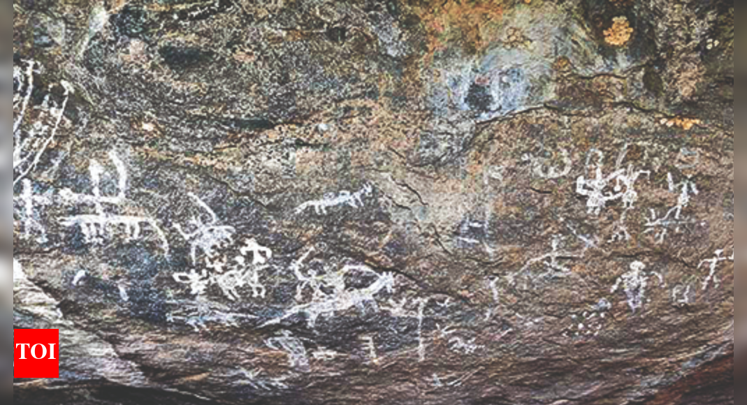 Krishnagiri: Ancient Rock Arts Found In Cave Near Krishnagiri ...
