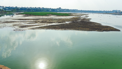 Adyar: Makeover For Adyar Along Meenambakkam | Chennai News - Times of ...