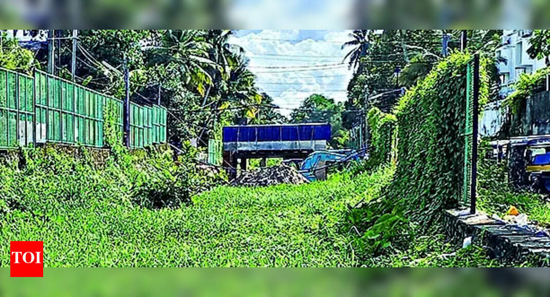 Tripunithura: Design Of Bridge To Affect Canal Beautification Project ...