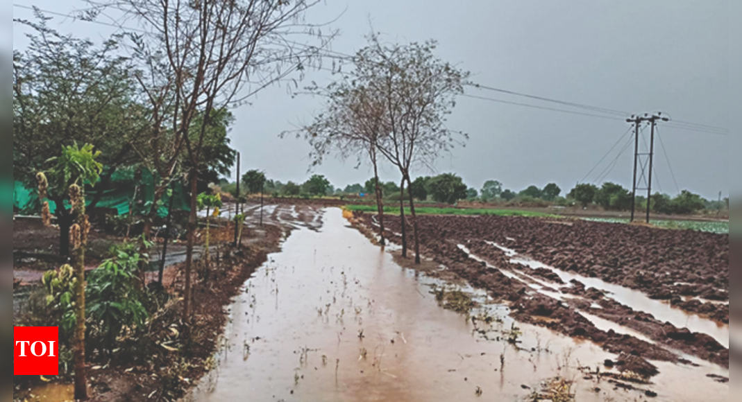 Nashik: Rainfall In Parts Of Nashik District, 1 Killed In Lightning | Nashik News - Times of India