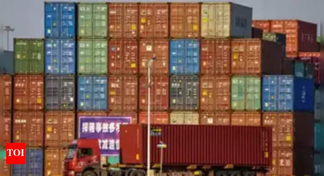 Explainer: What are India's top exports and imports and why CAD may ...