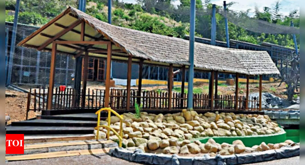 Birds first: Thrissur zoo gets ready to move | Kochi News - Times of India