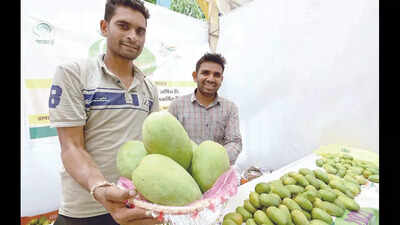 Fifth Mango Fest Brings Mouthwatering Variety Of King Of Fruits To Your ...