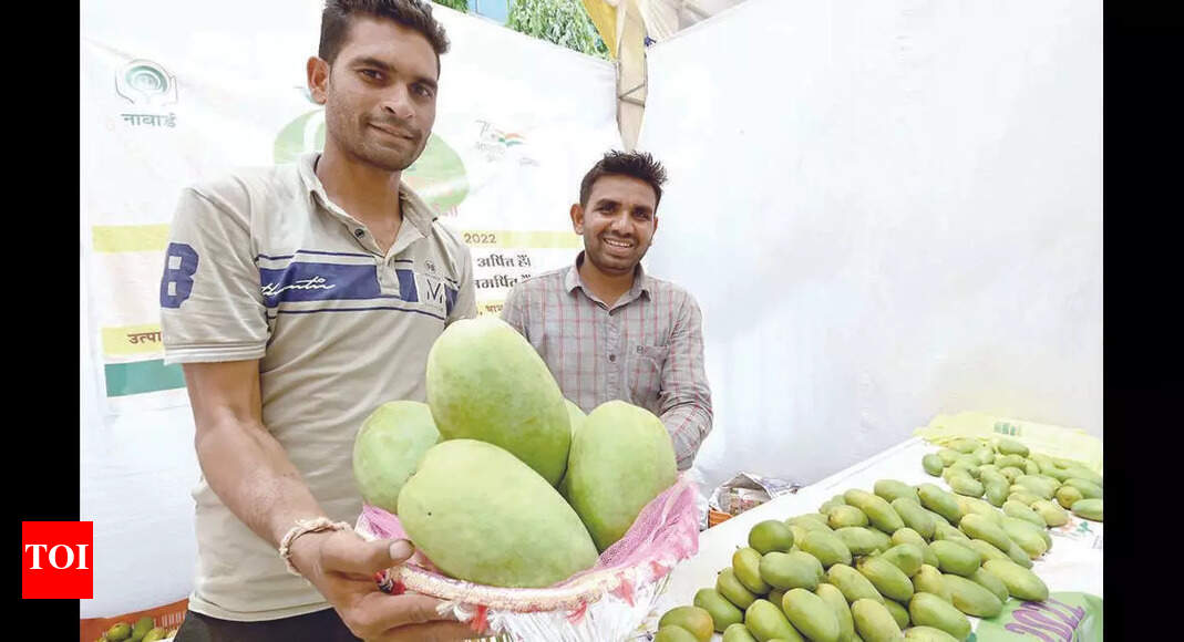 Fifth Mango Fest Brings Mouthwatering Variety Of King Of Fruits To Your ...