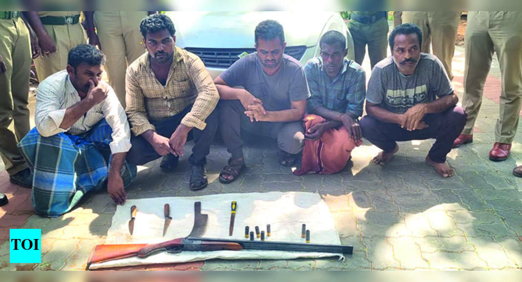 Pollachi: Five People Jailed For Attempting To Poach Wild Boars ...