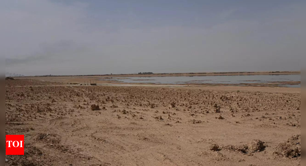 Lake Sawa: Iraq's 'pearl of the south' Lake Sawa dry amid water crisis ...