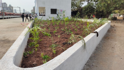 Butterfly garden comes up at Wadi Bunder on Central Railway | Mumbai ...