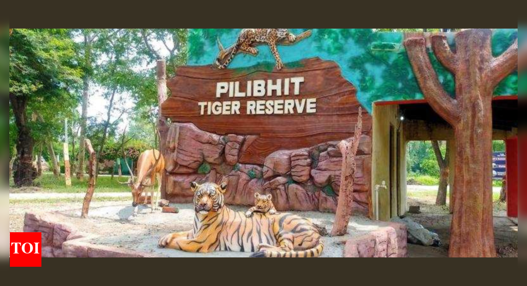 Ptr: Work On Tiger Rescue Centre In Ptr To Begin Today | Bareilly News ...