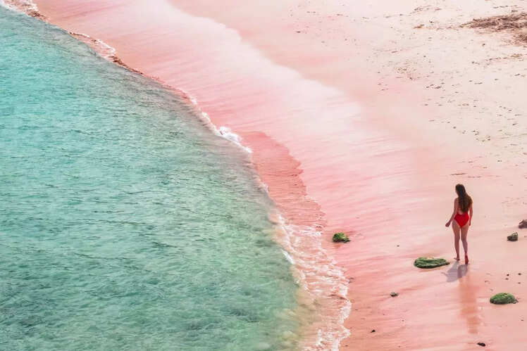 Beach lovers, have you heard of these stunning pink sand beaches ...