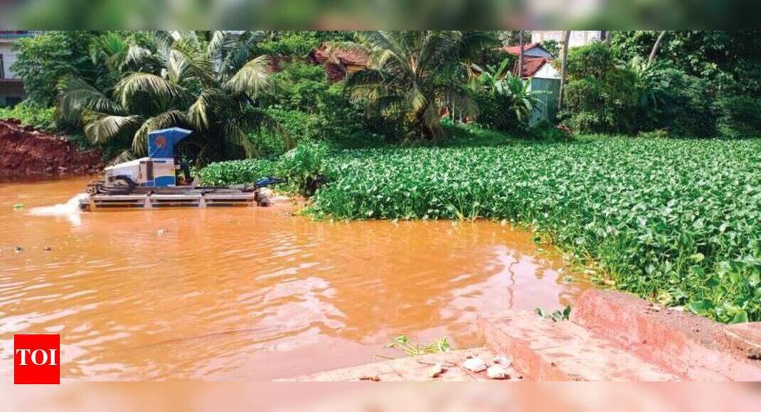 WRD begins work on de-weeding Mapusa river | Goa News - Times of India