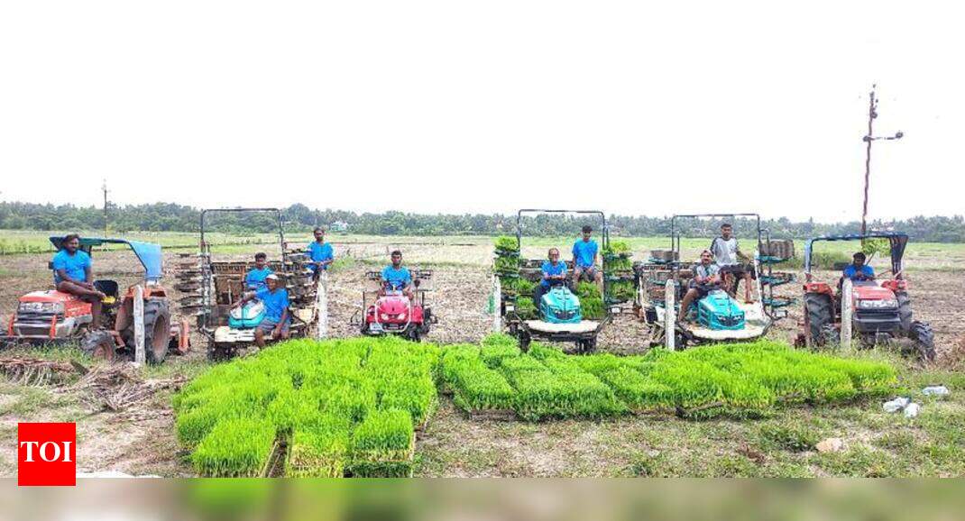 Farmers take advantage of clear skies to sow paddy | Goa News - Times ...