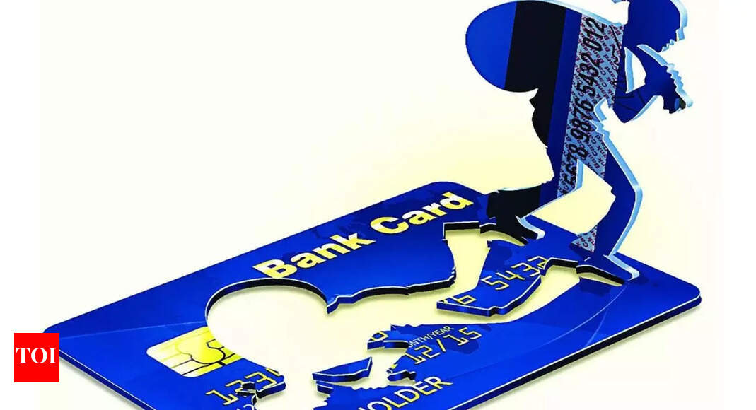 Glib Talker Dupes 28-year-old Woman, Avails 3l Loan Against Her Credit ...