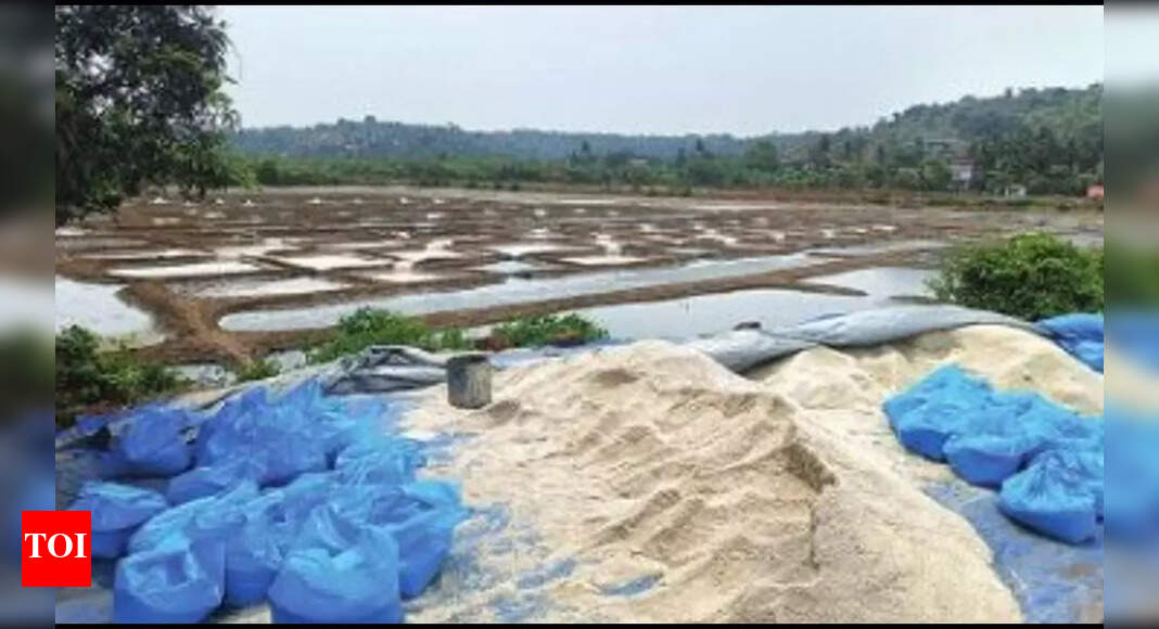 Climate change events hit Goa’s tottering salt industry | Goa News ...