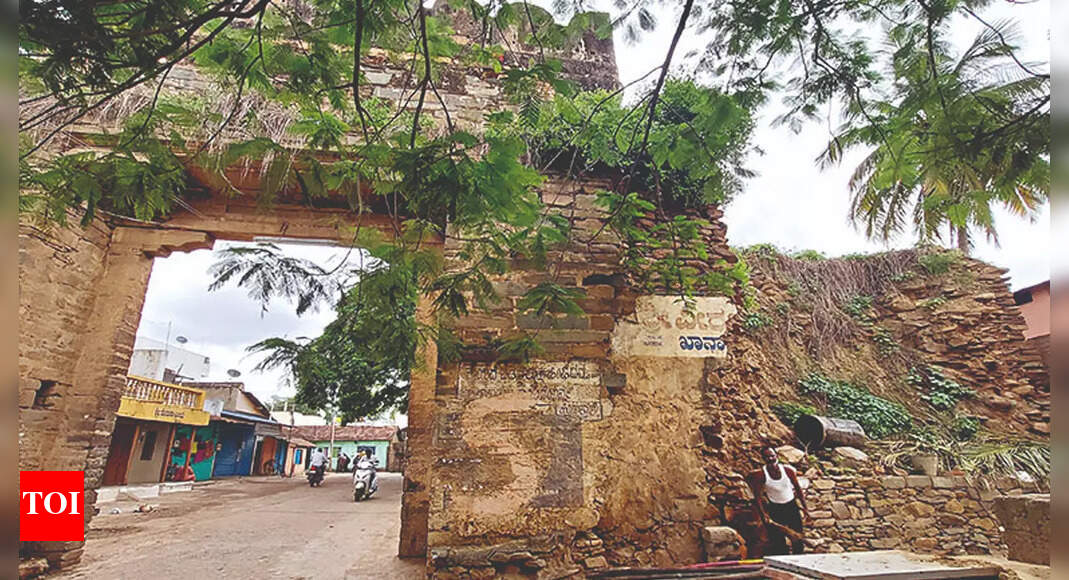 Savanur: Savanur Fort’s Entrance Is Crying For Attention | Hubballi ...