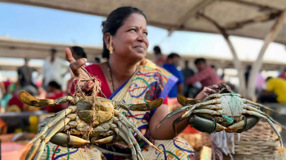 In pics: Chennai's Kasimedu fishing harbour abuzz with seller | The ...