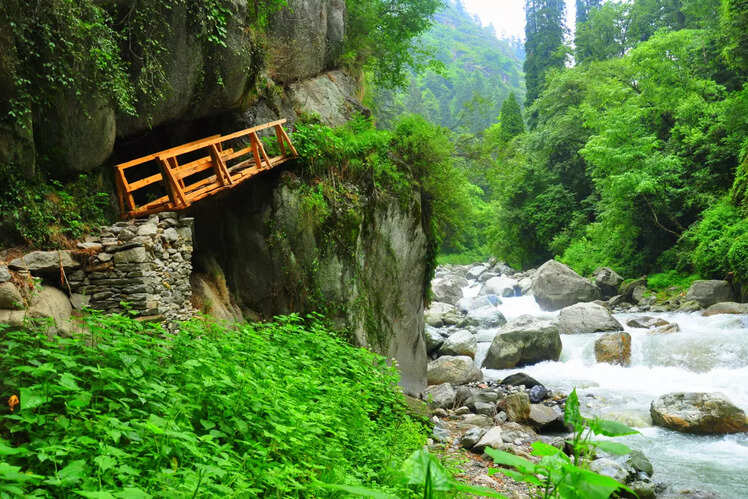 A guide to the Great Himalayan National Park | Times of India Travel