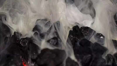 Amonkar: Goa: Stop coal pollution or will start protest, Amonkar | Goa ...
