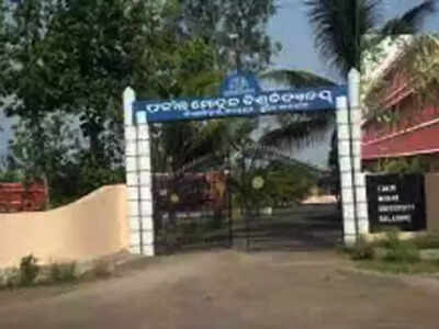 e-office launched in FM University - Times of India