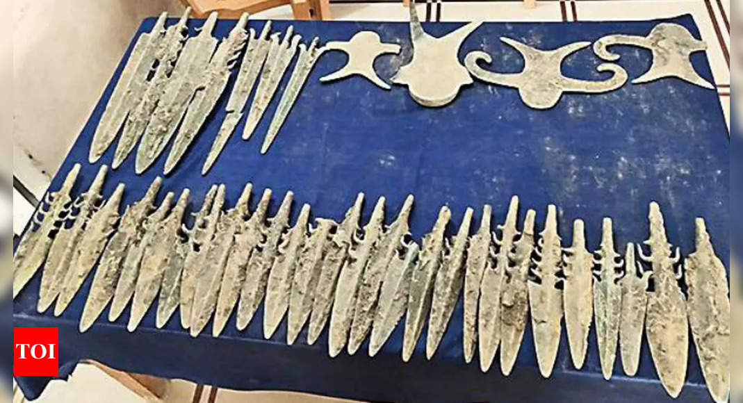 Mainpuri News: 4,000-year-old copper weapons found under a field in ...