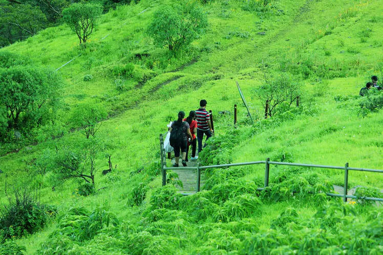 Best of Western Ghats during the monsoon season | Times of India Travel