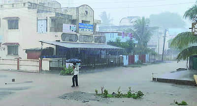Nashik Dist Gets Avg 30mm Rain As Monsoon Gains Momentum | Nashik News - Times of India
