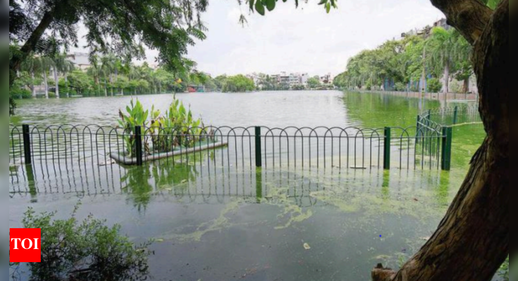Some revamp stuck midway, Rs 99 crore marked to give 38 waterbodies new ...