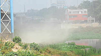 State To Launch Clean Air Action Plan Soon | Patna News - Times of India