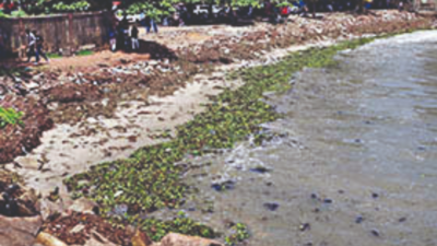 Suchitwa Sagaram Sundara Theeramproject: Dist To Launch Project To ...