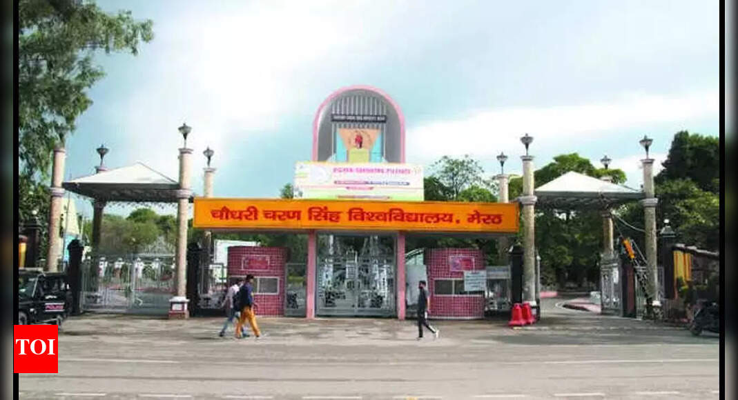 Meerut University starts courses for Film City in Noida | Meerut News ...