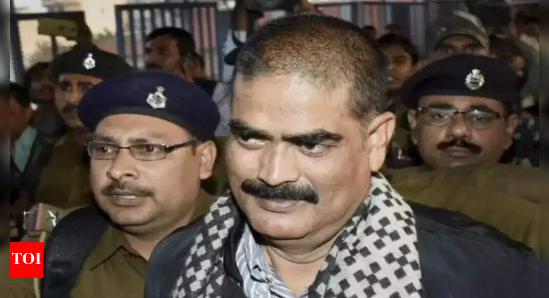 Shahabuddin: Former Bihar MP Shahabuddin's wife Hena Shahab likely to ...