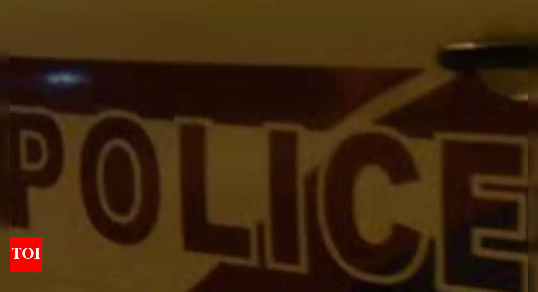 Margao murder case: Cops probing if more persons are involved | Goa ...