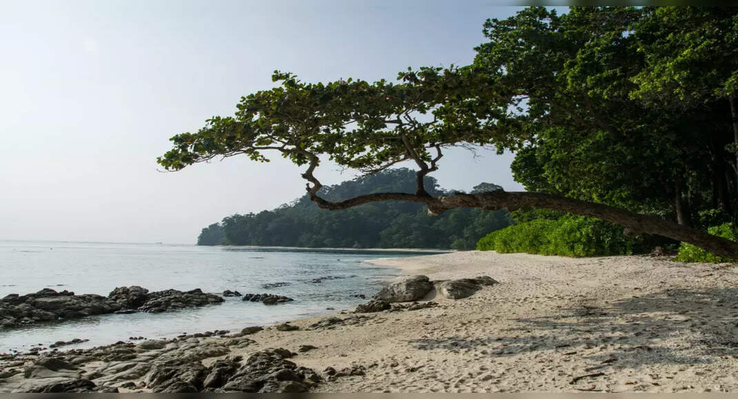 Did you know that India has 8 stunning Blue Flag beaches! | Times of ...