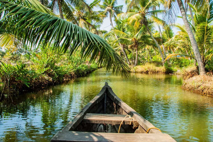 Must-do activities during your Kerala trip | Times of India Travel