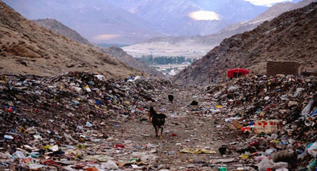 How Indian tourists are wrecking the places they visit | India News ...