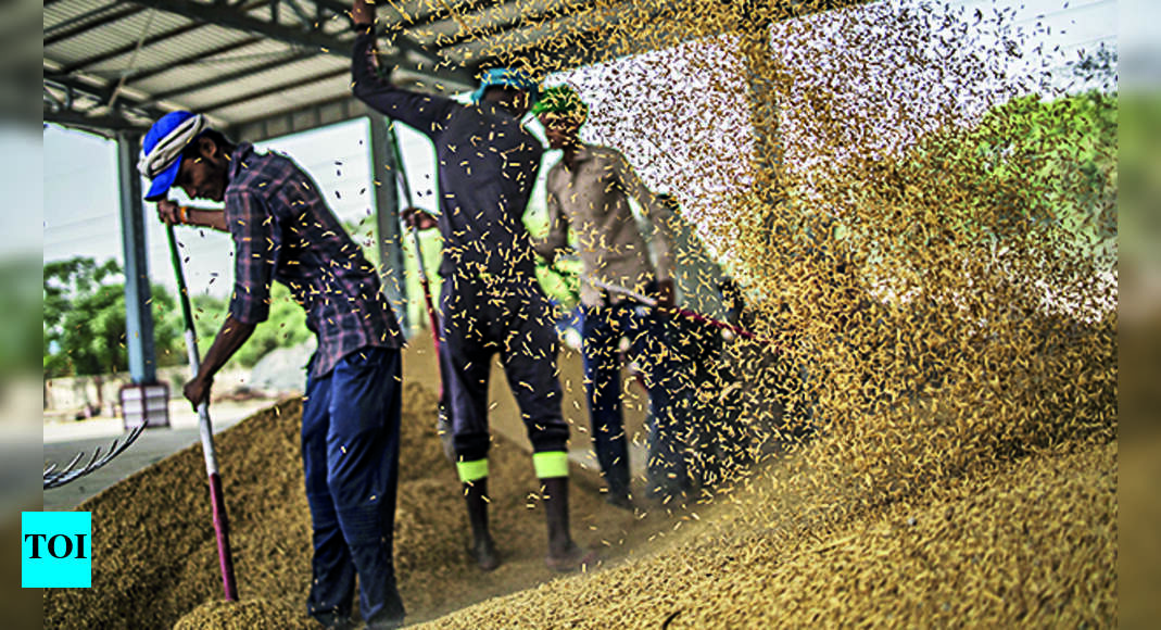 Gujarat: Gujarat, UP & MP demand full quota of NFSA wheat | India News ...