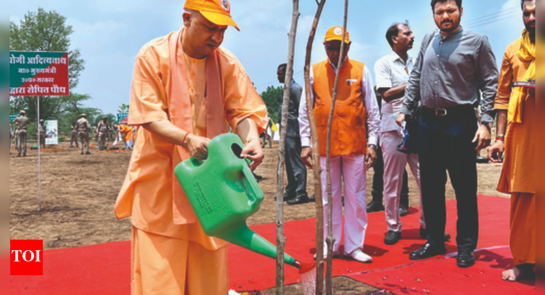 Yogi Adityanath: Plant More Trees To Mitigateimpact Of Climate Change ...