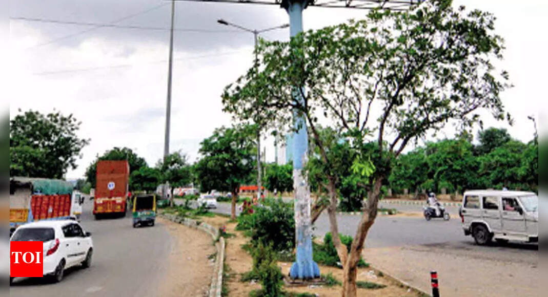 Gmda: Gmda Plans Master Road For Sectors 1 And 1a In Manesar | Gurgaon ...