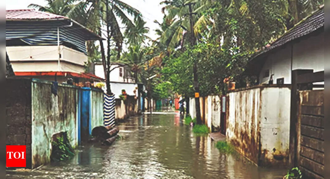 Areas Not Covered By Tetrapod Seawall Work Witness Sea Erosion | Kochi ...