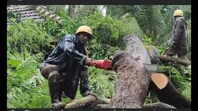 Goa: Vasco, Verna fire station staffers kept on toes | Goa News - Times ...