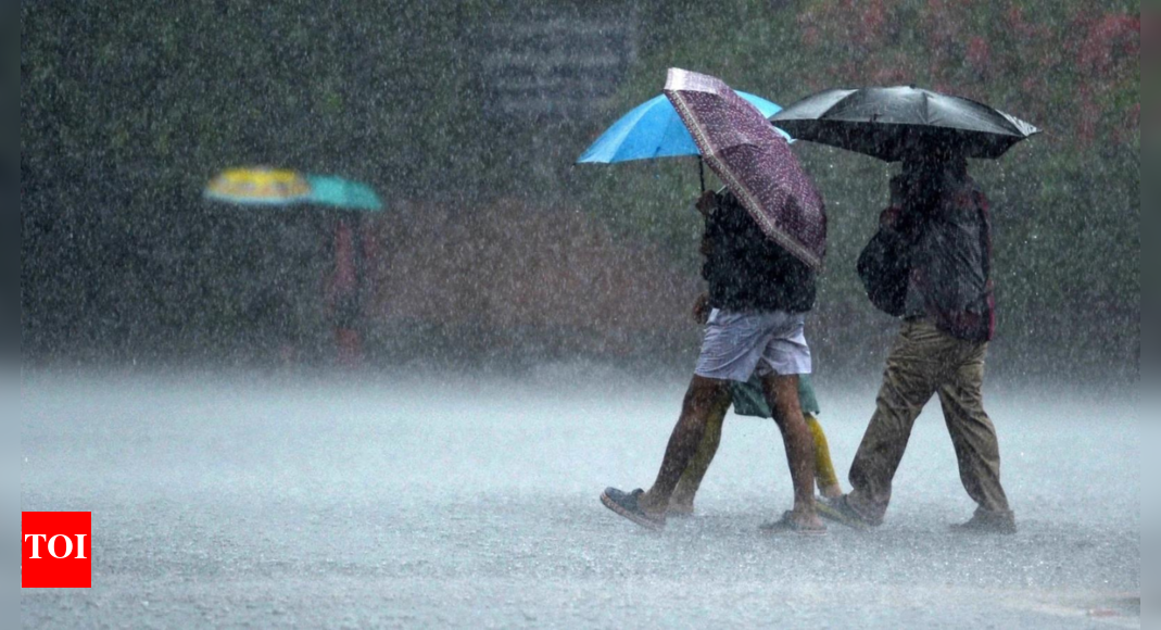 After Dengue Scare, Typhoid Cases On Rise In City With Monsoon Onset ...