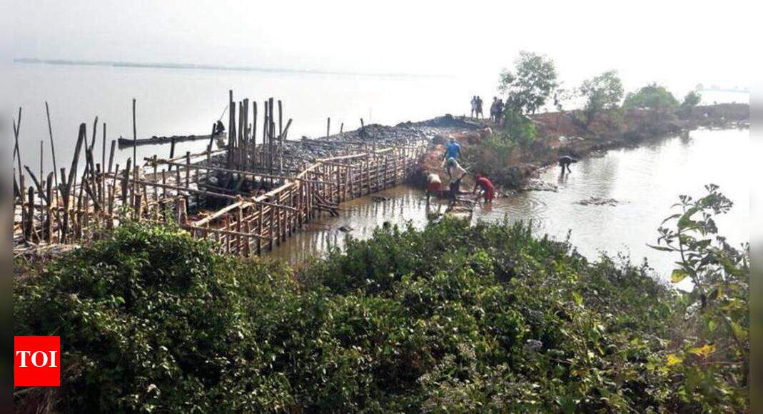 Goa: Landfilling, fragmentation of ancient system pushing khazans under ...