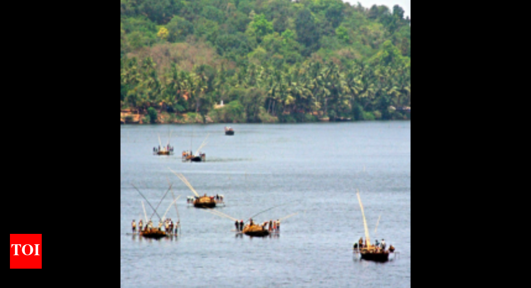 Wrd: Goa: Water levels of rivers, dams below warning mark | Goa News ...