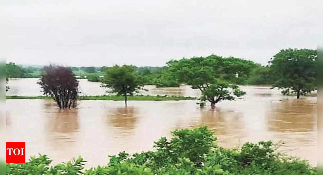 Nanded: Heavy Rain Floods Parts Of Hingoli & Nanded | Aurangabad News - Times of India