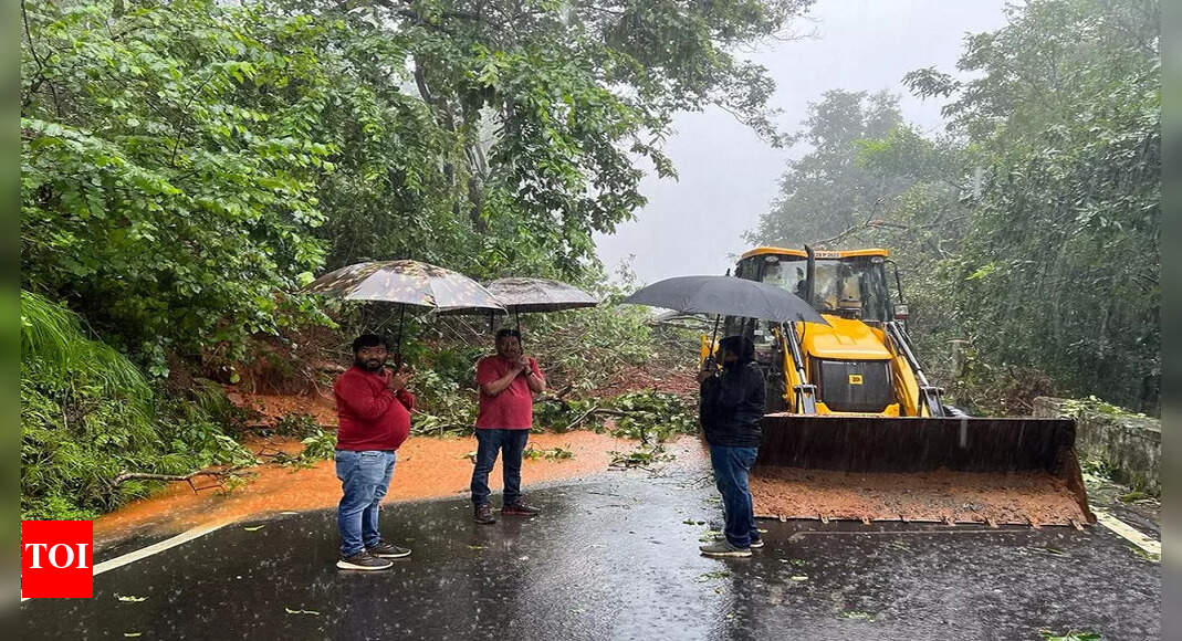 Karnataka rains: Traffic banned on Agumbe Ghat till July 12 | Mysuru ...